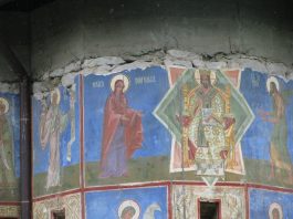 La Mănăstirea de la Româneşti, de Florii, au înflorit nuferii FOTO