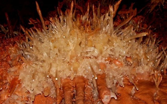 Pojarul Poliței, unul dintre cele mai frumoase muzee naturale din ...