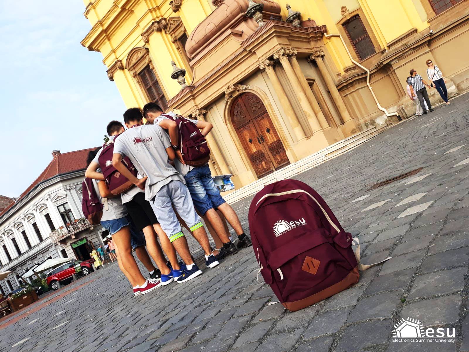 Electronics Summer University, la a IV-a ediție