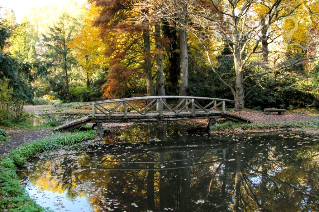 Pepiniera Parcului Dendrologic din Simeria, desfiinţată după 70 de ani