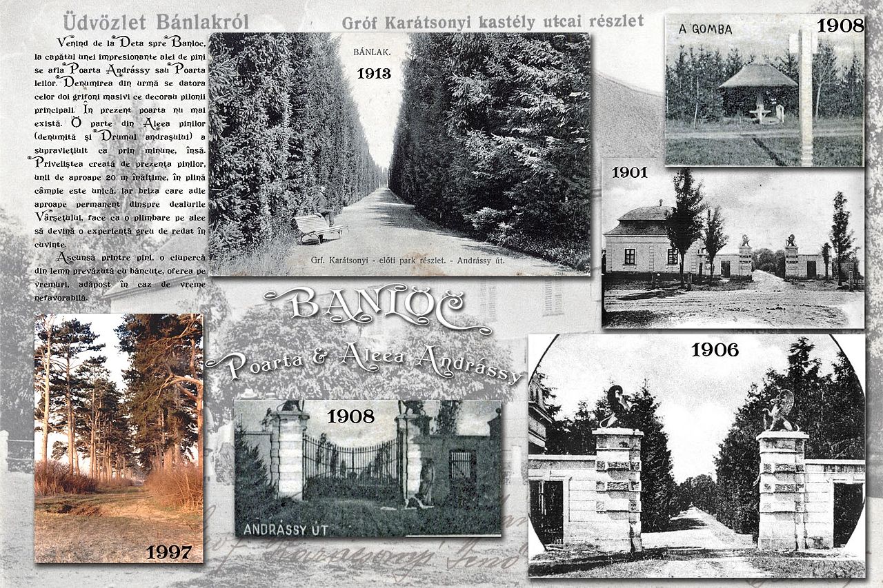 Banloc misterioasa reședință a principesei Elisabeta