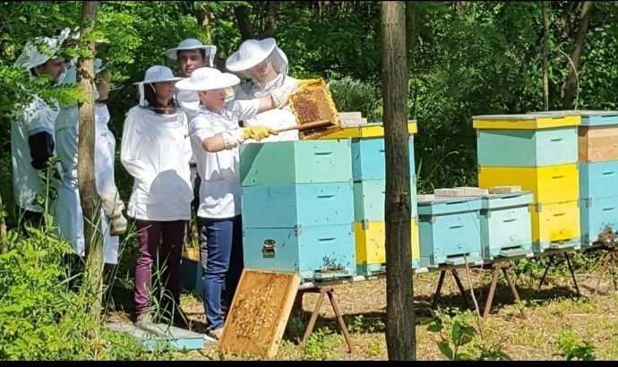 USAMVBT- ”Universitate Antreprenorială” | Metode concrete de ...