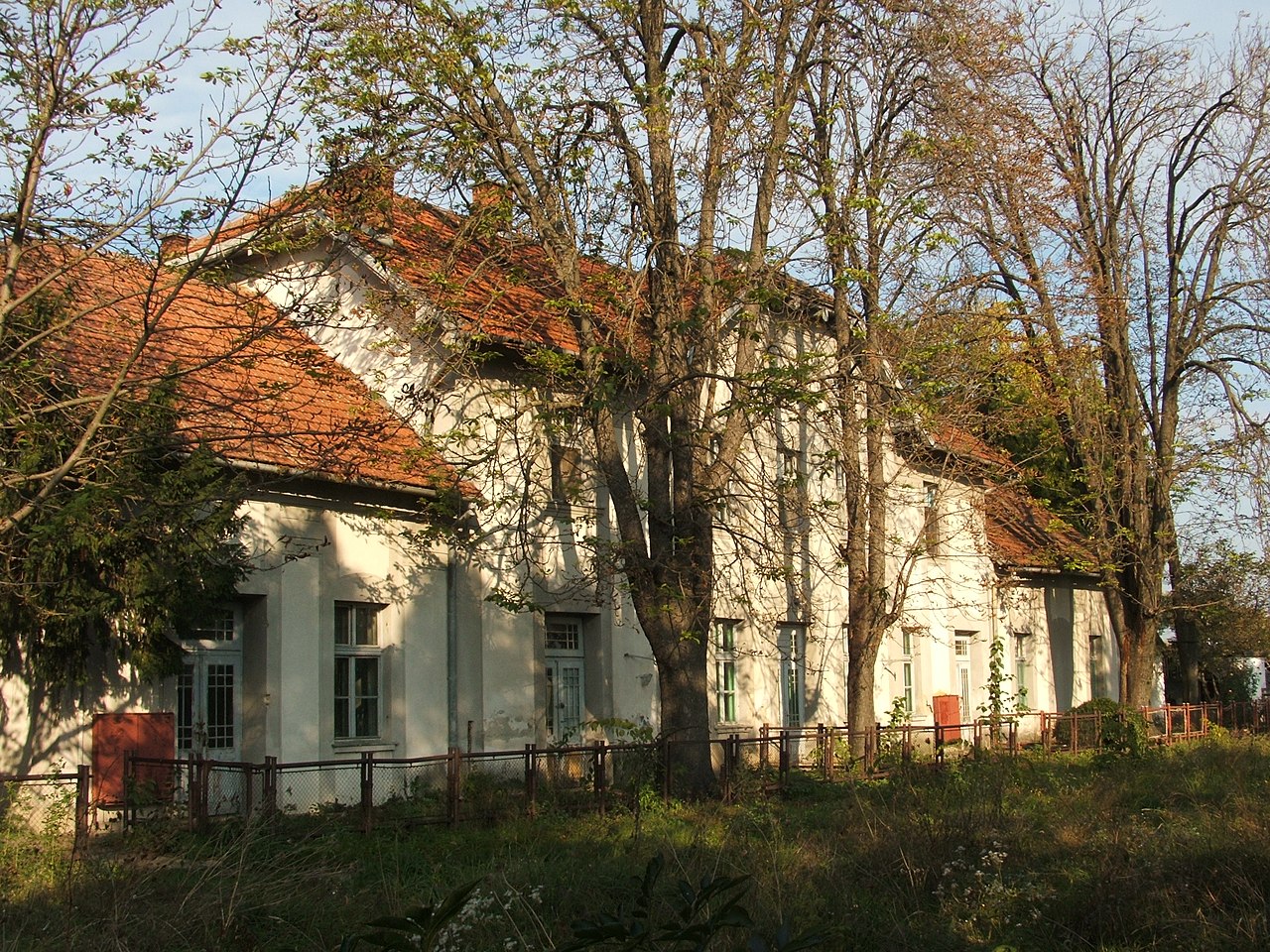 ”Folosirea tradițiilor culturale din regiunea Valcani-Novi Kneževac ...