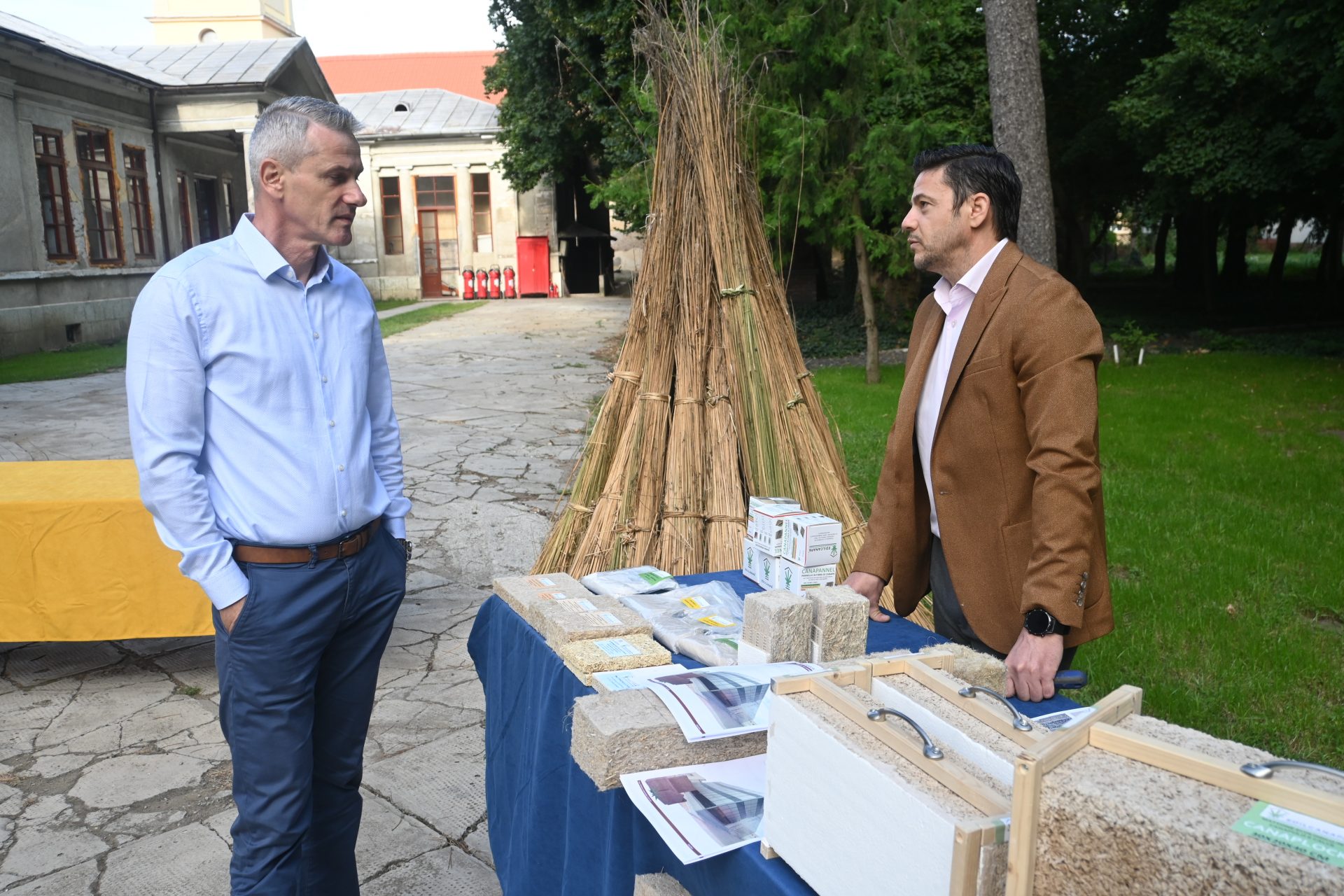 Cânepa – plantă minune cu utilizări multiple | FOTO-VIDEO