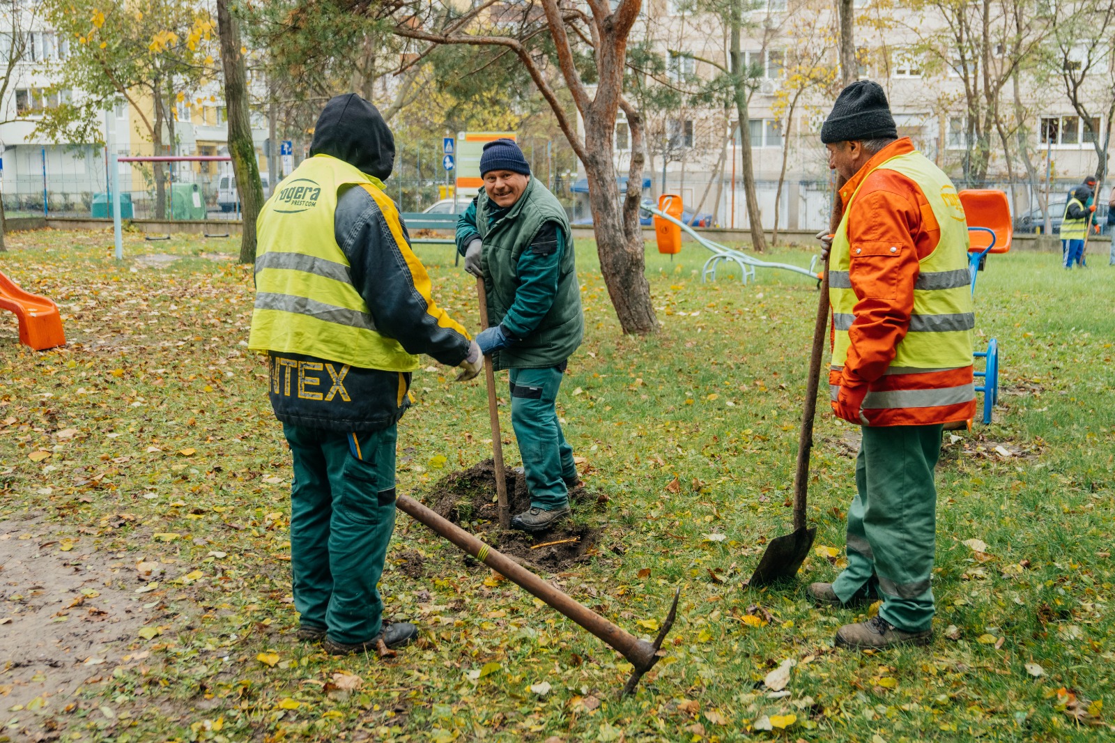 Curțile a 11 școli și grădinițe vor înverzi