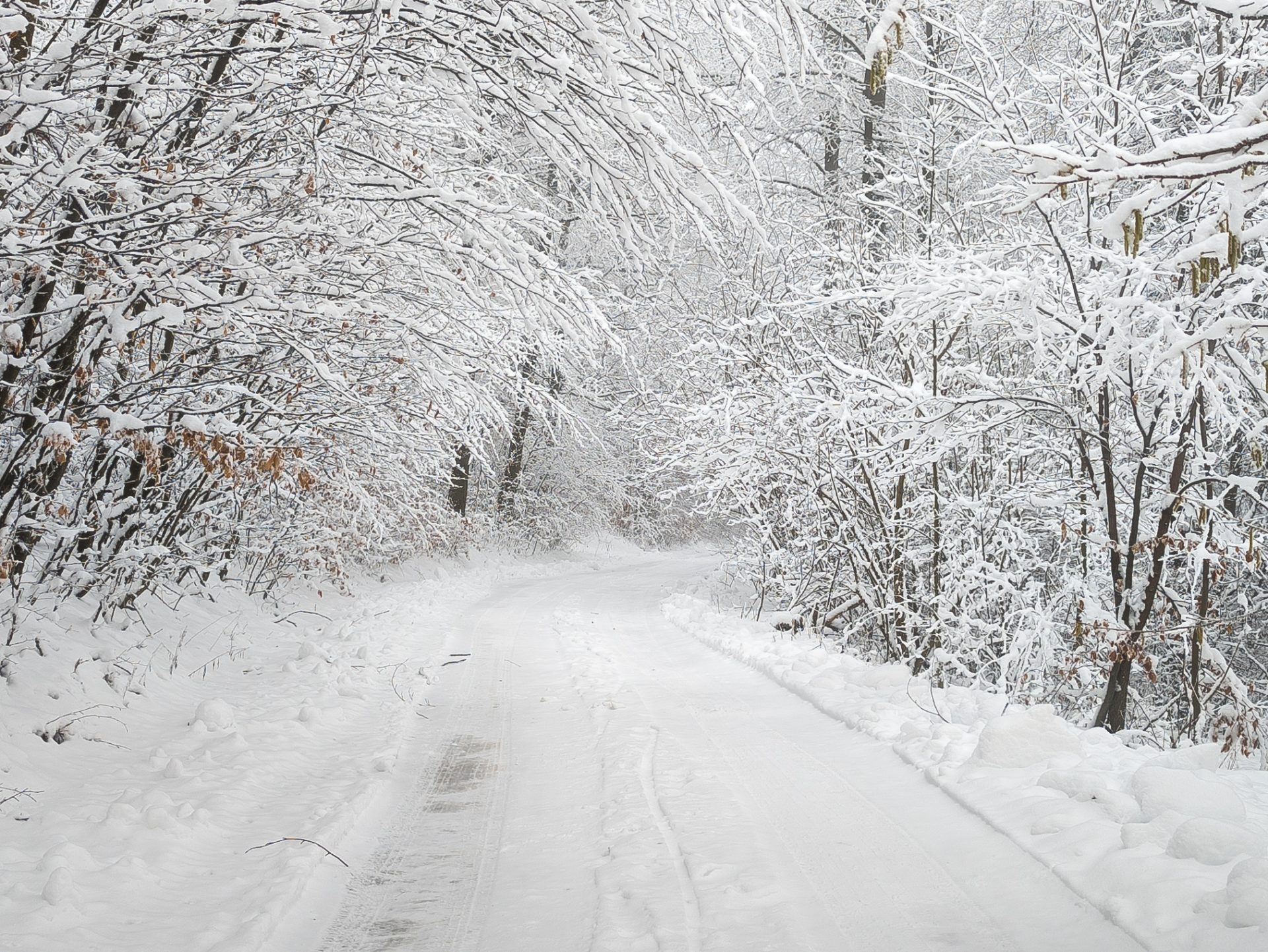 Iarna se instalează și mai serios în Banat începând de azi