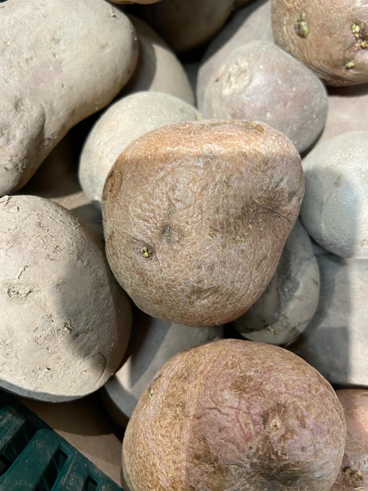 două magazine Mega Image închise de protecția consumatorilor (5 ...